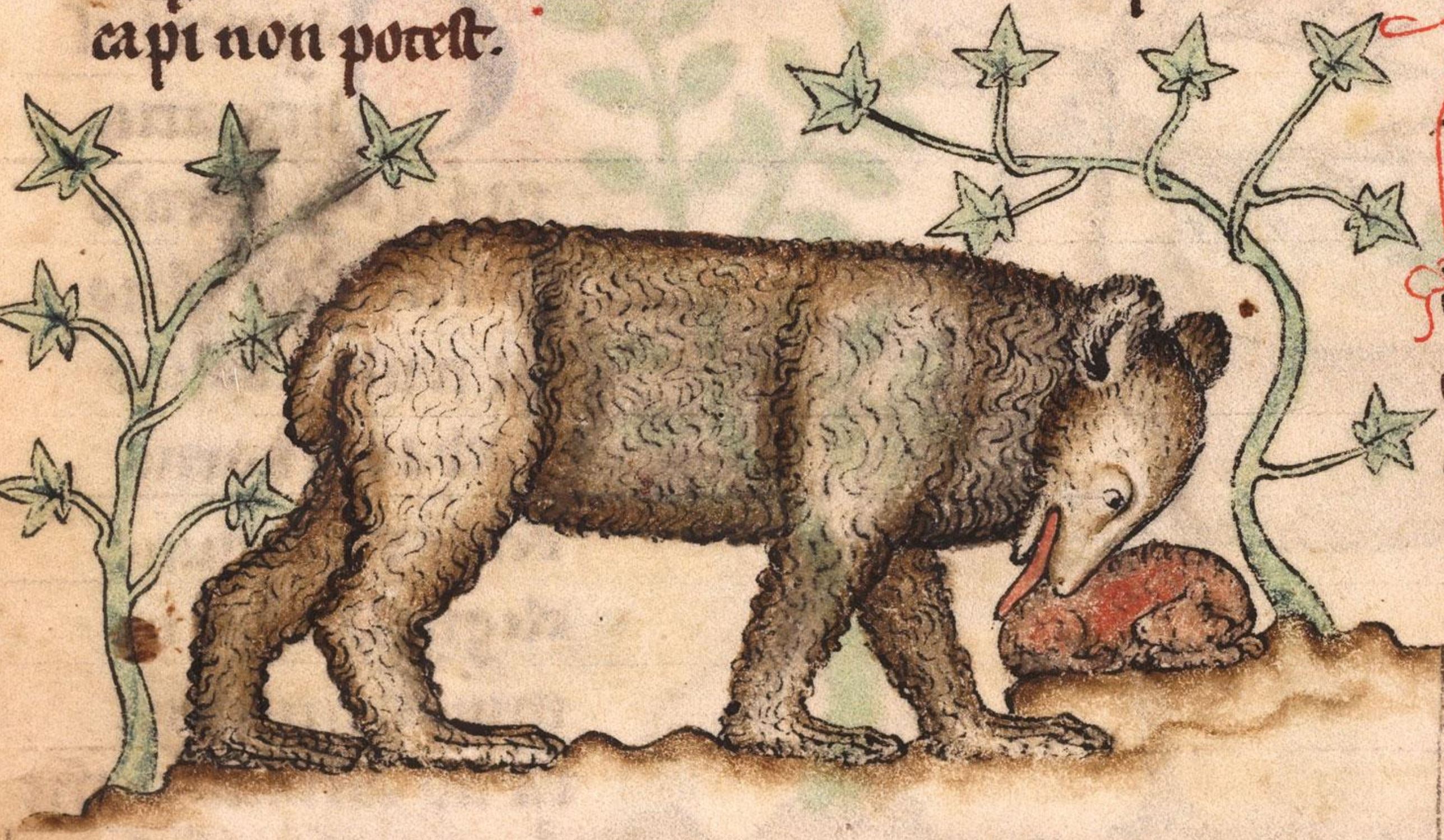 Medieval bestiary : beasts : elk – books of beasts – ICDK