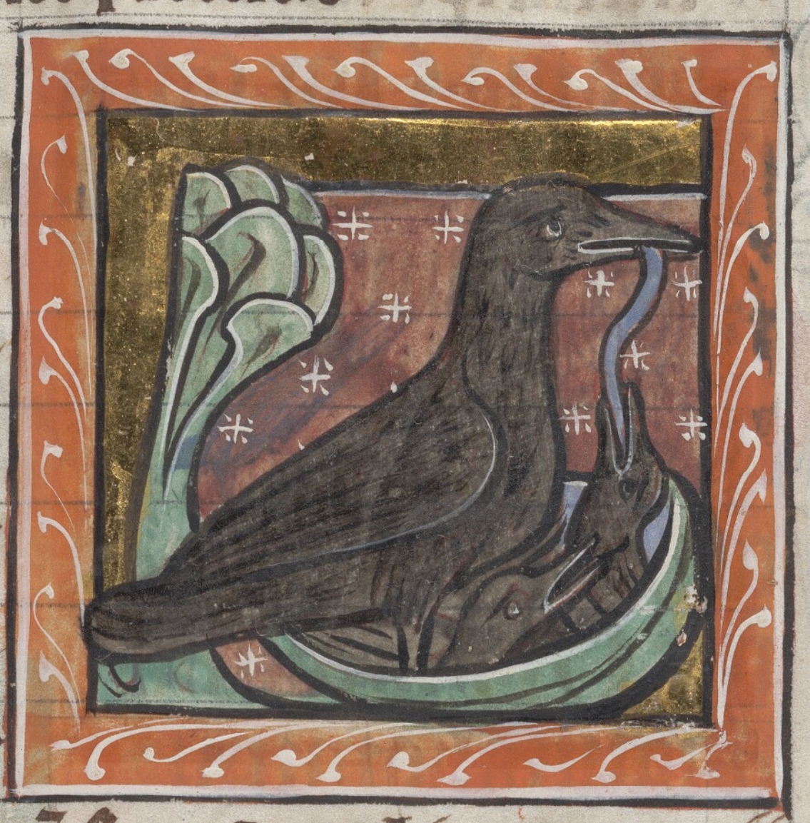 Medieval Bestiary : Beasts : Raven