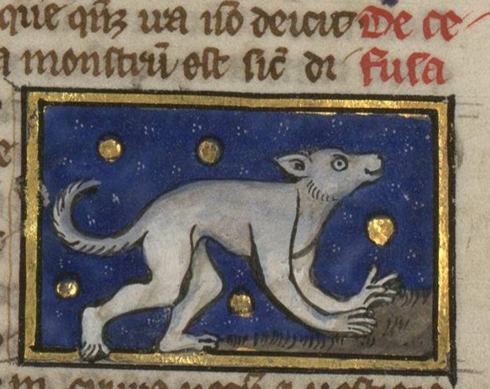 Medieval Bestiary : Beasts : Cefusa