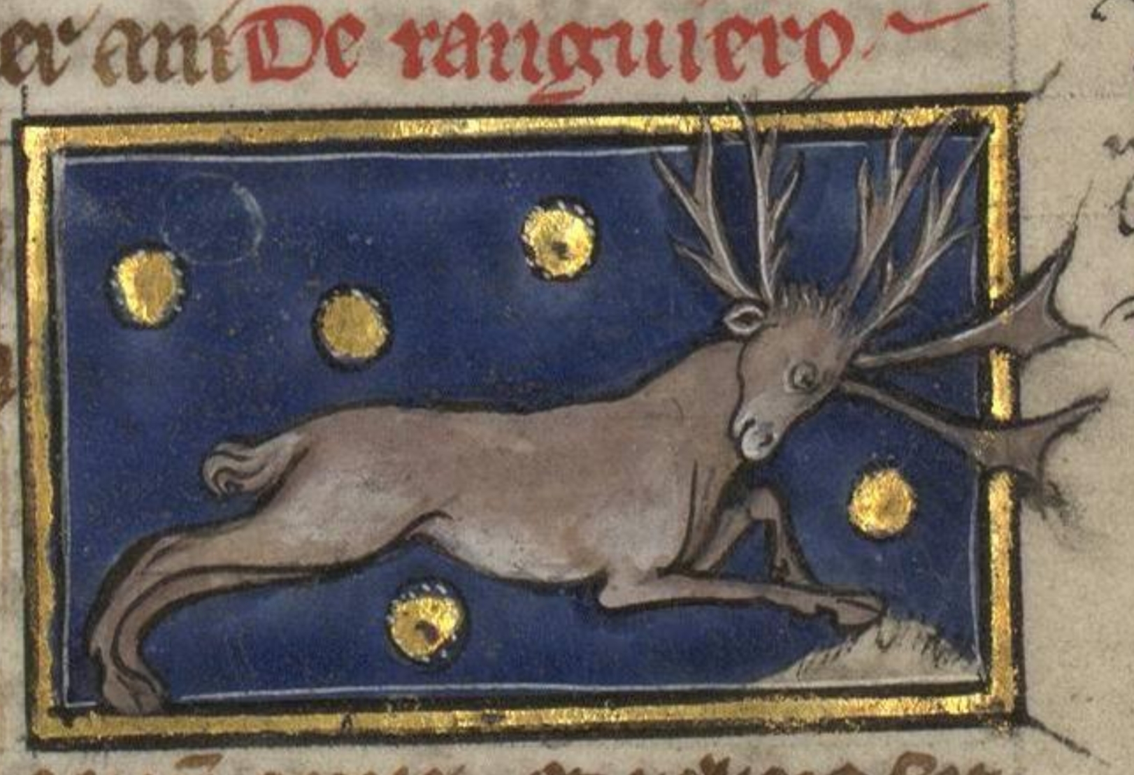 Medieval Bestiary : Beasts : Reindeer
