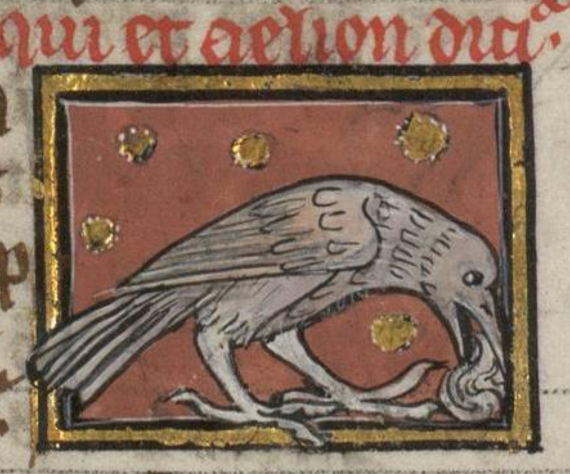 Medieval Bestiary : Beasts : Aeriophylon