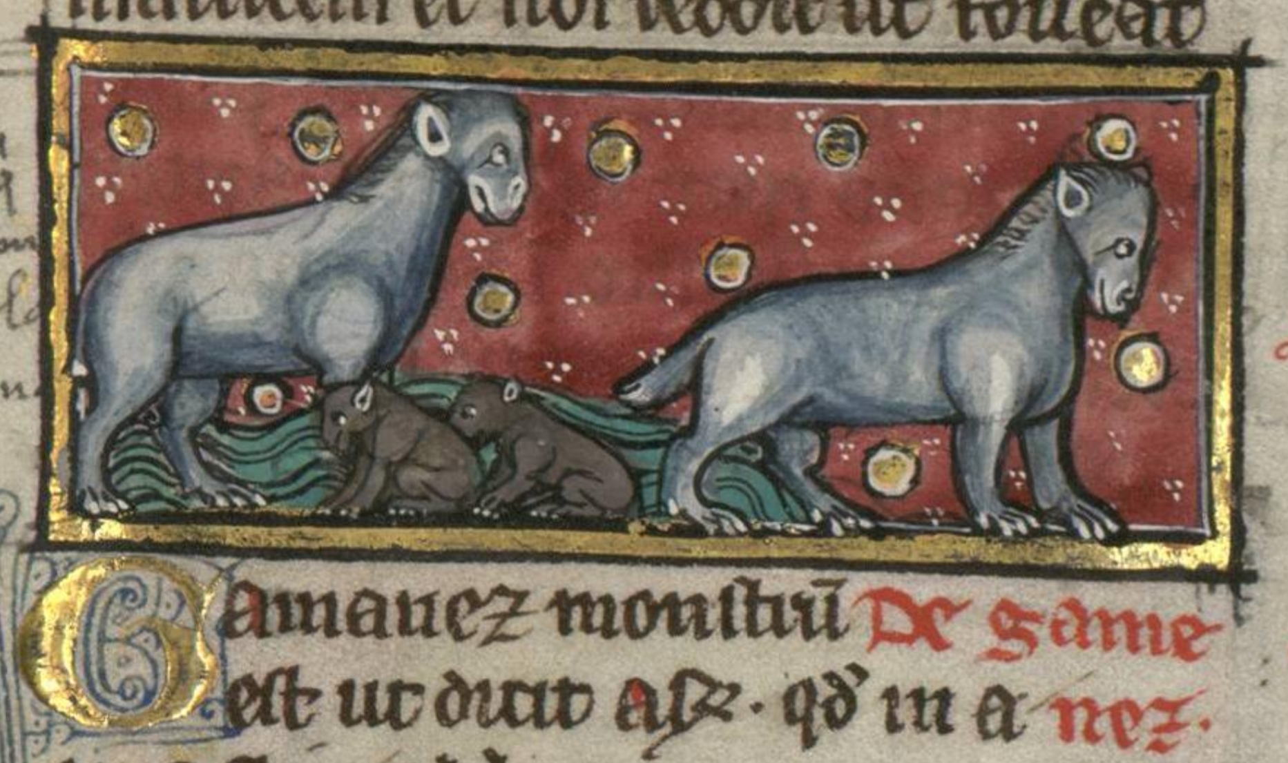 Medieval Bestiary : Beasts : Catfish