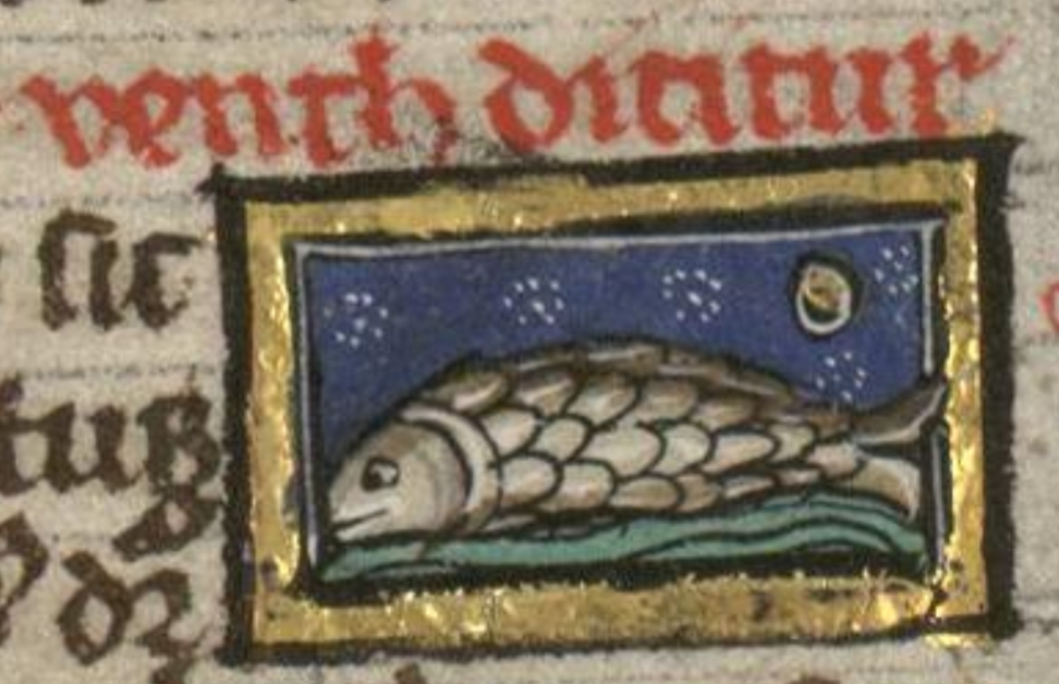 Medieval Bestiary : Beasts : Bitterling