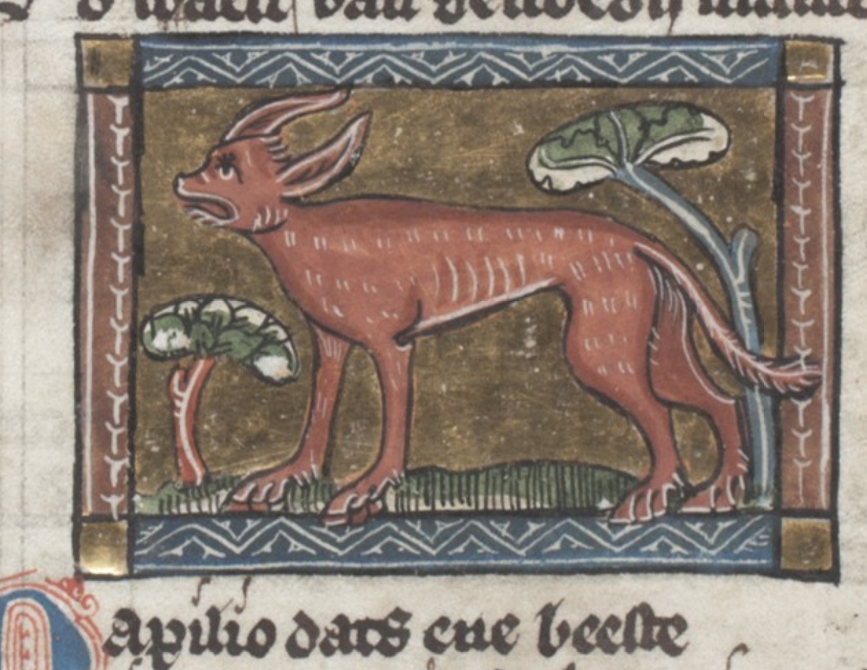 Medieval Bestiary : Beasts : Pathius