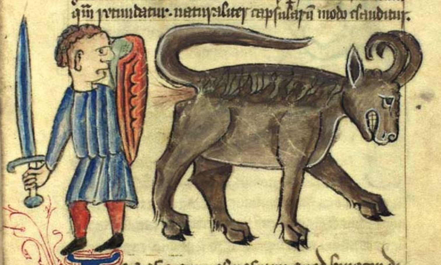 Medieval Bestiary : Beasts : Bonnacon