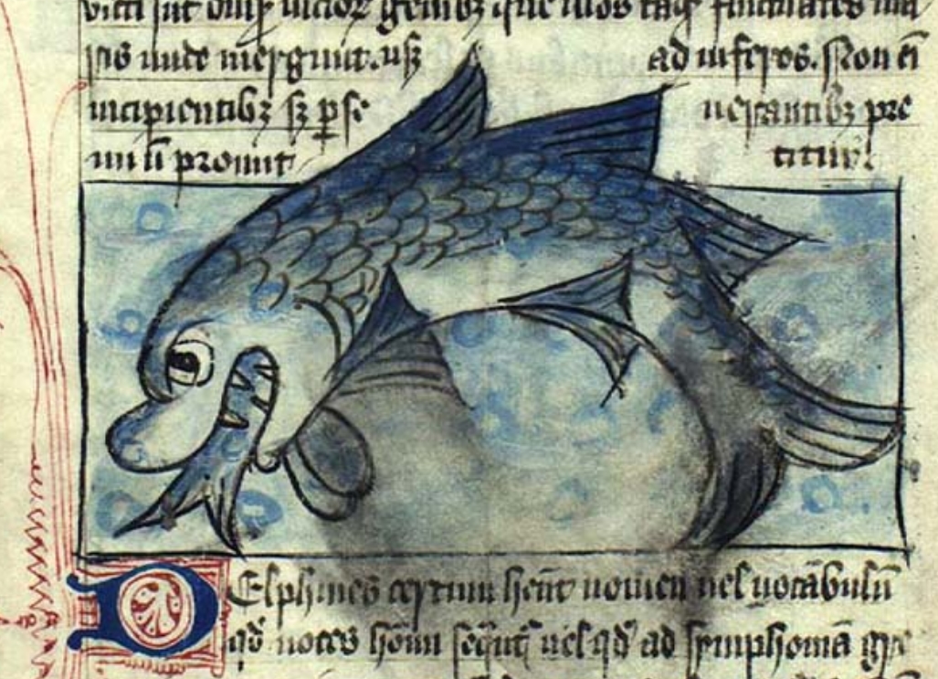 Medieval Bestiary : Beasts : Dolphin