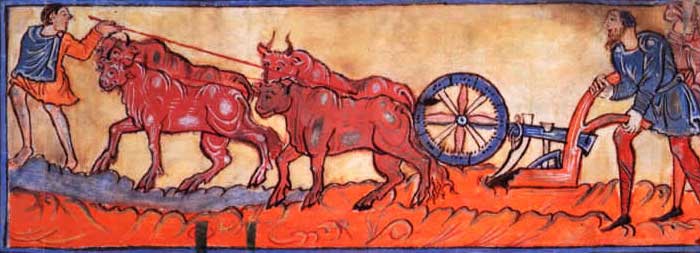 Medieval Bestiary : Beasts : Ox